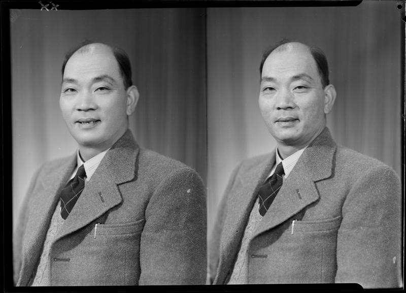 Ping Choy Leong - Puke Ariki