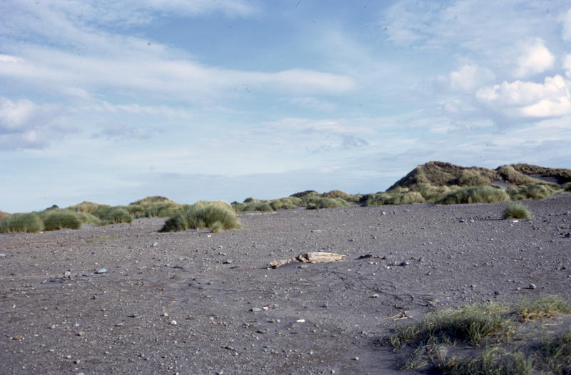 Sand dunes, Sandy Bay - Puke Ariki