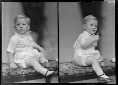 Graeme Harris - Puke Ariki