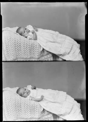 Bruce Chambers - Puke Ariki