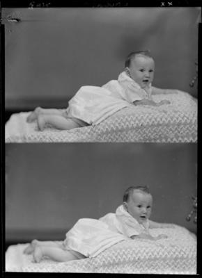 O'Sullivan, Baby - Puke Ariki