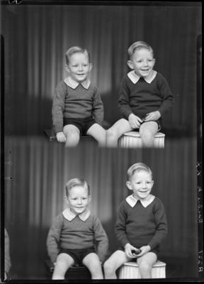 Ray and Colin Roebuck - Puke Ariki