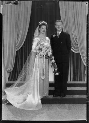 Rook, Wedding - Puke Ariki