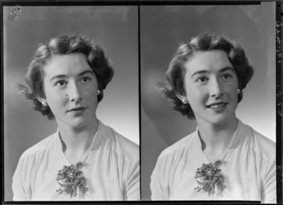 Alison Ludlow - Puke Ariki