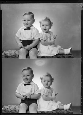 Graeme and Lynne Haase - Puke Ariki