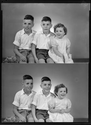 Patrick, David and Alison Wooller - Puke Ariki