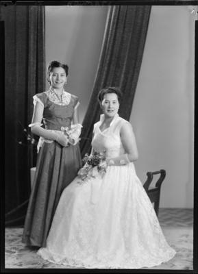 Raumati, Debutante - Puke Ariki