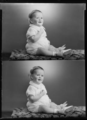 Kenneth Snell - Puke Ariki