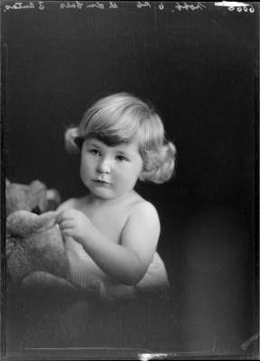 Graham Lobb - Puke Ariki