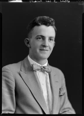 Stone, Man - Puke Ariki