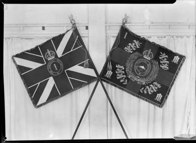 Taranaki Regiment, Flags - Puke Ariki