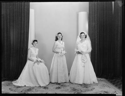 Thompson, Wedding - Puke Ariki