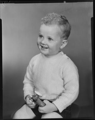 Stephen Hickey - Puke Ariki