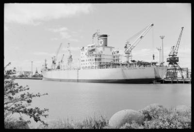 Blue Star Line, NZ Star Ship - Puke Ariki