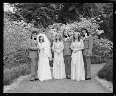 Brill, Wedding - Puke Ariki