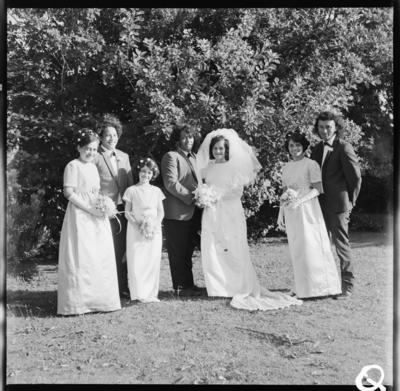 Tamatea, Wedding - Puke Ariki