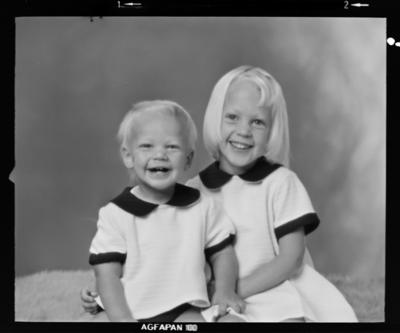 Fox, Group - Puke Ariki