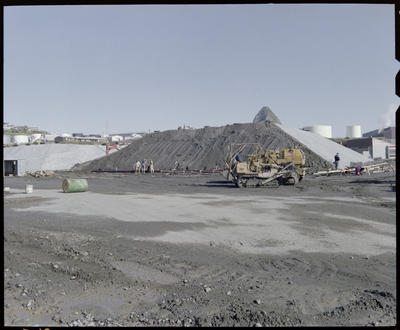 Shell B.P. & Todd, Landscape - Puke Ariki