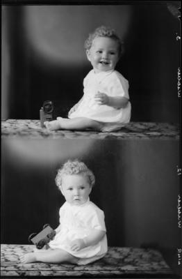 Ronald Webber - Puke Ariki