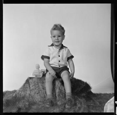 Bruce Whitehead - Puke Ariki