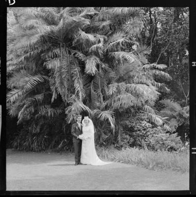 Woods, Wedding - Puke Ariki