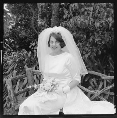 Jordan, Wedding - Puke Ariki