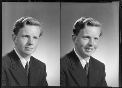 David Cook - Puke Ariki