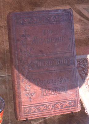 The Academic Third Book Progressive Reader [book] - Puke Ariki