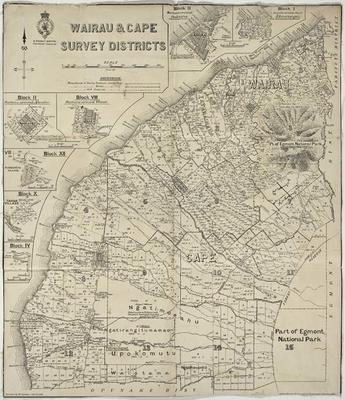 Wairau and Cape Survey District [map] 1898 - Puke Ariki