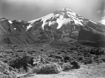Mount Taranaki from The Enchanted Track - Puke Ariki