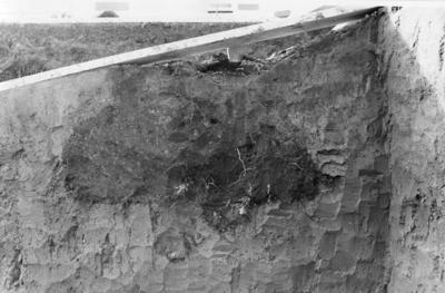 Storage pit, Taranaki - Puke Ariki