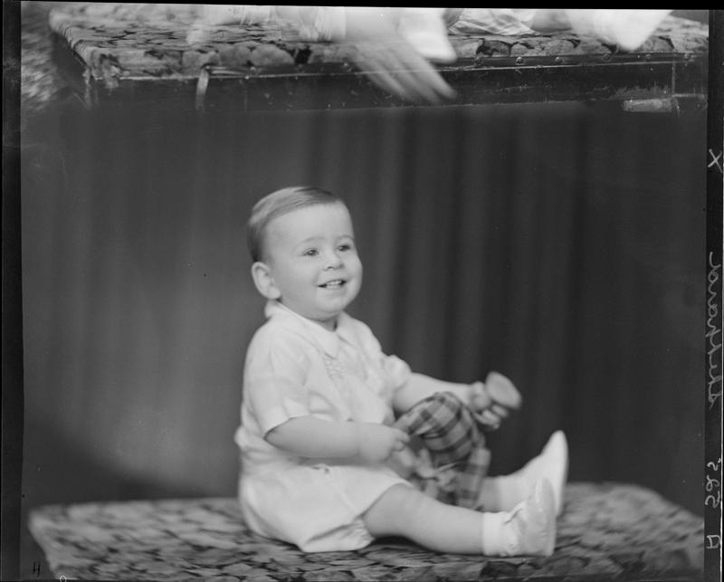 Neil Robert Sheppard - Puke Ariki