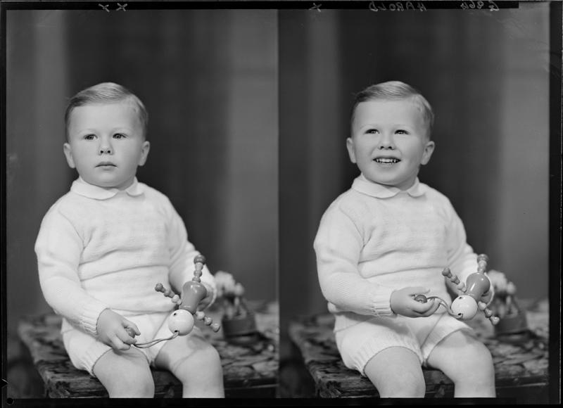 Harold, Baby - Puke Ariki