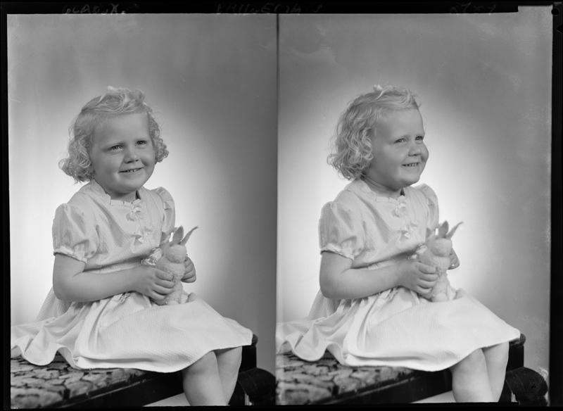 Joy Bridgeman - Puke Ariki