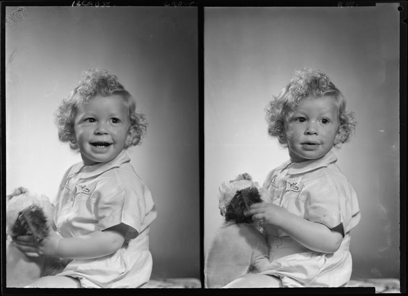 Graham Crow - Puke Ariki