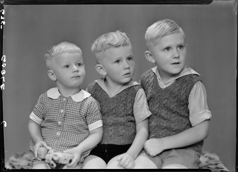 Murray, Barry and Robin Goble - Puke Ariki