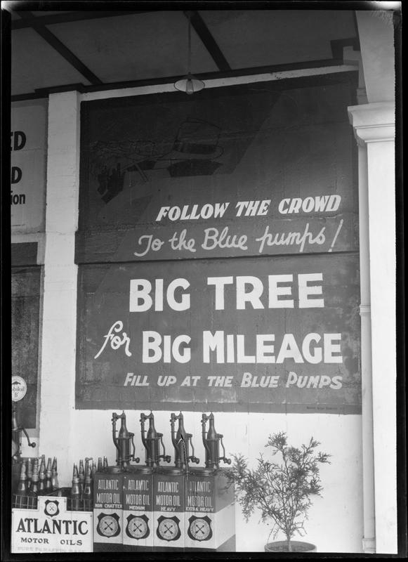 Big Tree, Advertising Poster - Puke Ariki