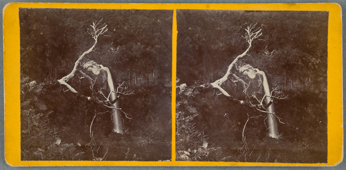 Stereoscopic view of waterfall with dead tree - Puke Ariki