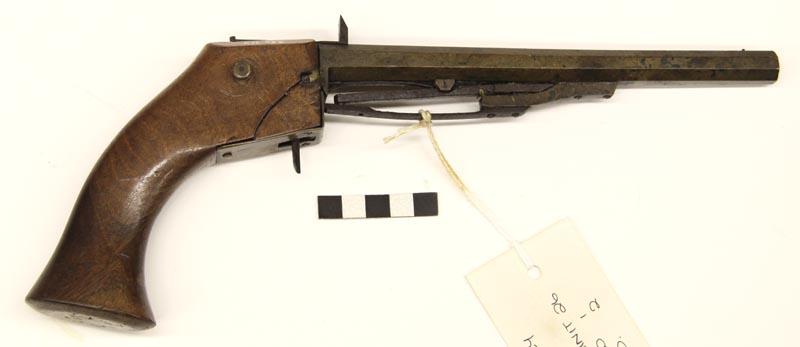 Pistol, Spring - Puke Ariki