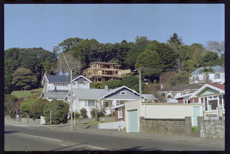 Furze Family House - Puke Ariki