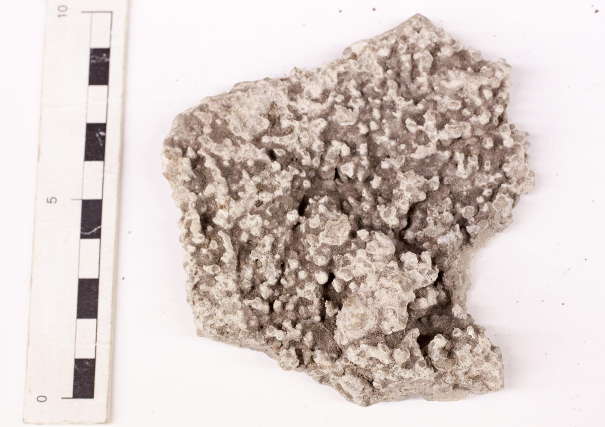 Sample, Rock - Puke Ariki