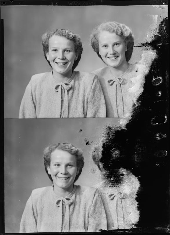 Williams, Group - Puke Ariki