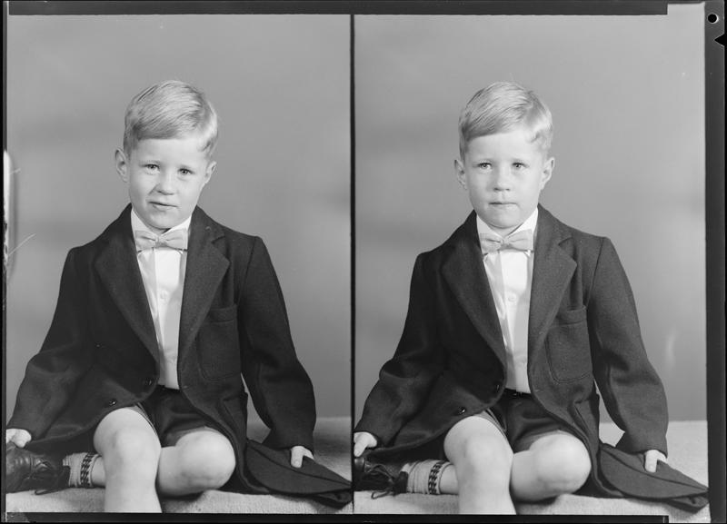 Gavin Giles - Puke Ariki