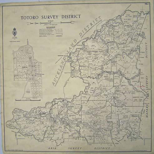 Totoro Survey District [map] 1945 - Puke Ariki