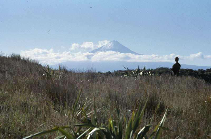 Orangi-Tuapeka pā, Kapuni river - Puke Ariki