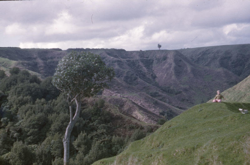 Te Awa-matenga pā, Whakamara - Puke Ariki