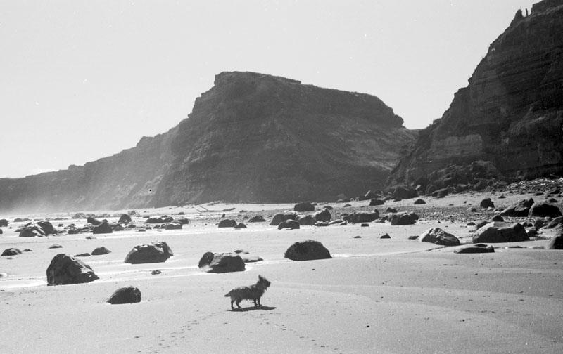 Orangi-Tuapeka pā, Kapuni river - Puke Ariki