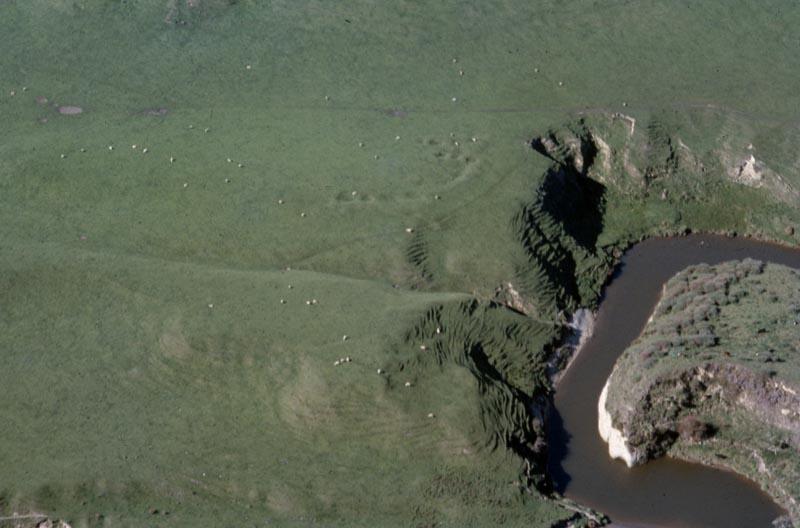 Pits, Mokoia - Puke Ariki