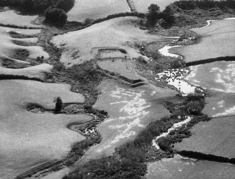 Poroporo pā, Okaiawa - Puke Ariki