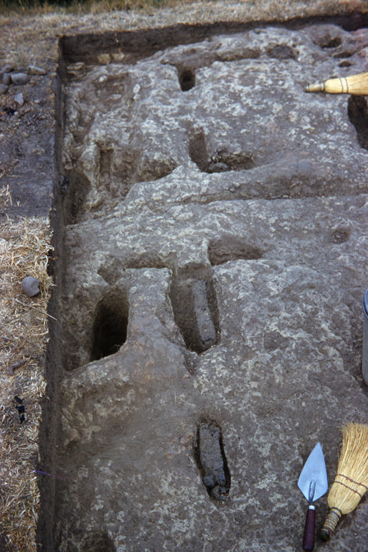 Tarata pā, excavation, Waitotara Valley - Puke Ariki